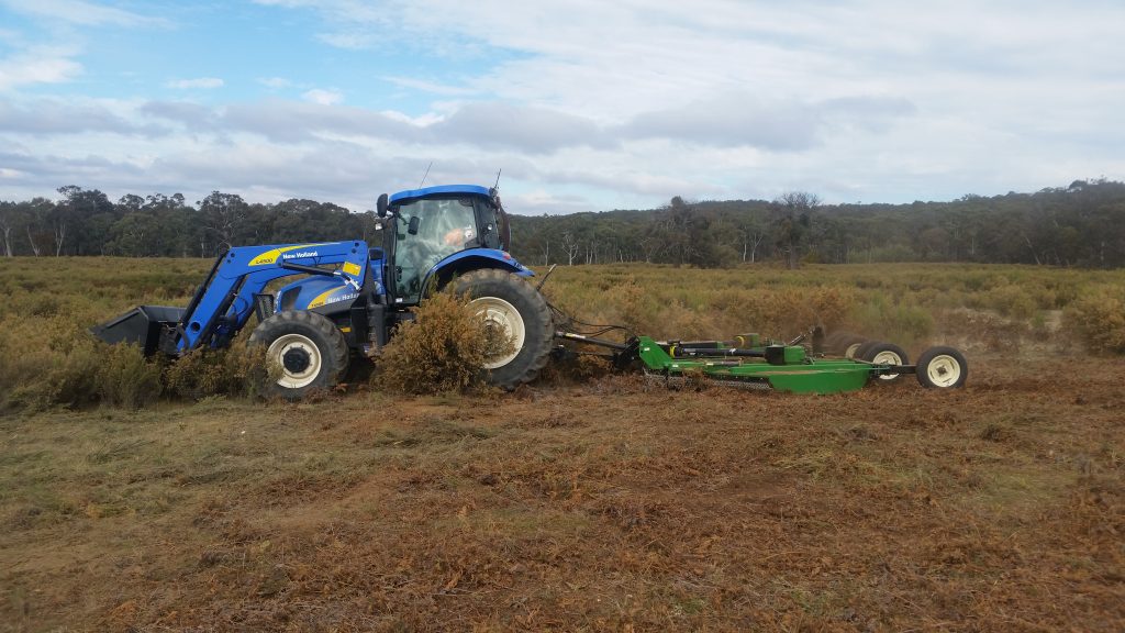 15ft Flex-Wing Slasher - King Kutter